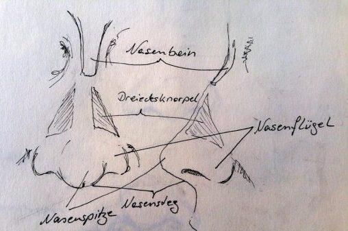 Das Portrait: Die Nase von Stephanie Bahrke - kukundo